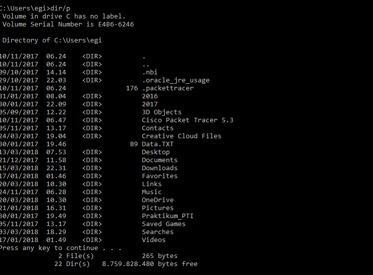 DOS (Internal Command)