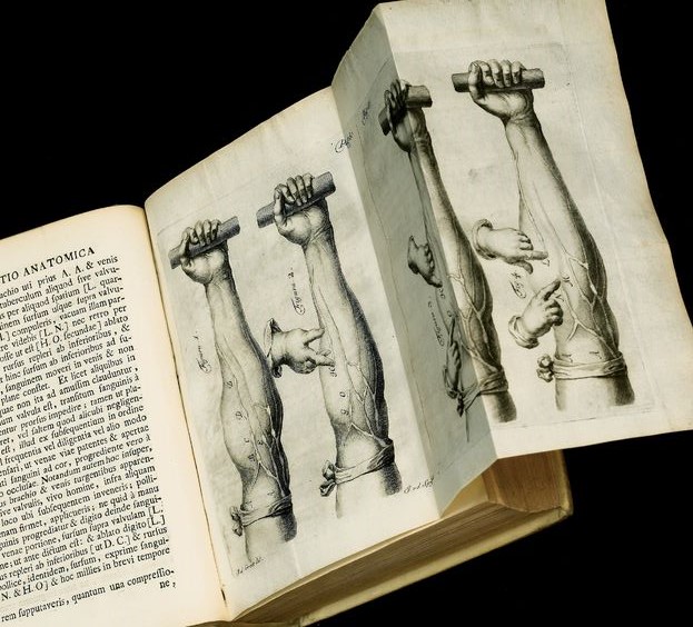 ART and ARCHITECTURE, mainly: Dr William Harvey, a brave scholar on ...