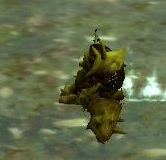 [Dungeon] River Ruins - Dragon Nest SharpStation