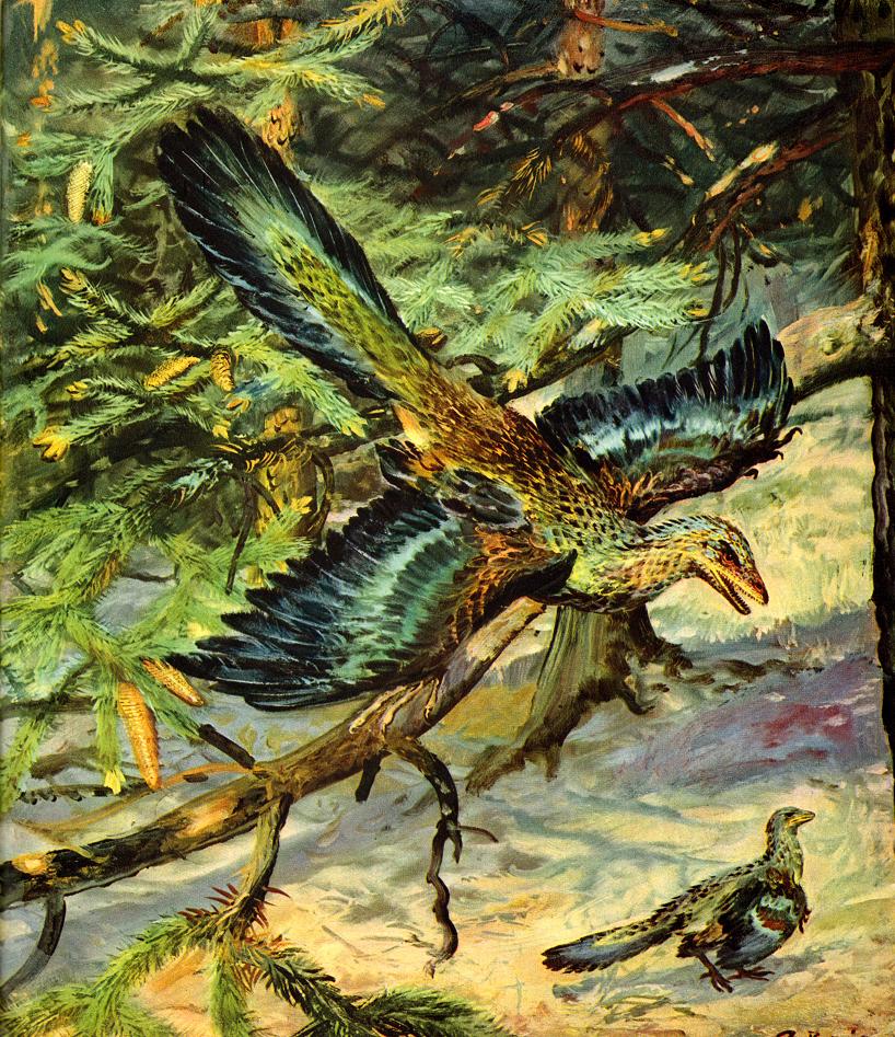 AGATHAUMAS: Archaeopteryx lithographica 1861-2011