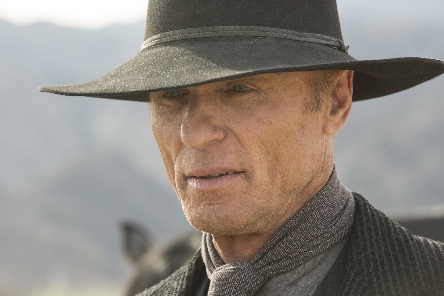 Ed Harris (28 November 1950, Tenafly, New Jersey, USA) movies list and ...