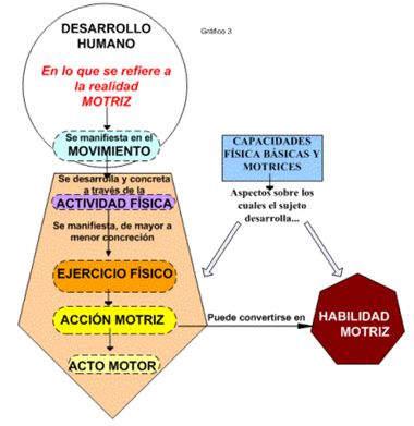 LA CREATIVIDAD MOTRIZ EN EL NIVEL DE PREESCOLAR: LA CREATIVIDAD MOTRIZ ...