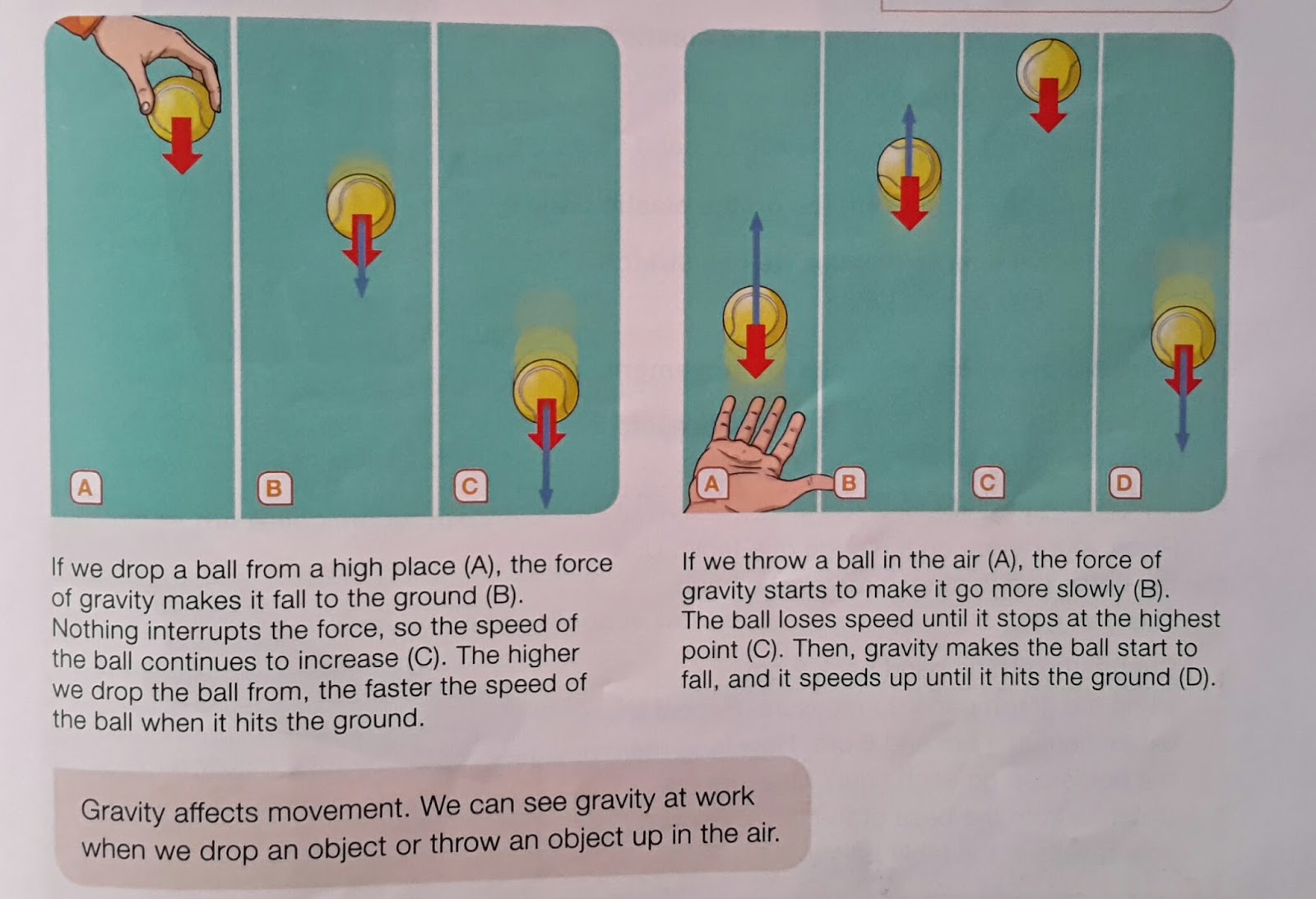 CeipToursScience4: Unit 6. Forces and movement. Natural Science