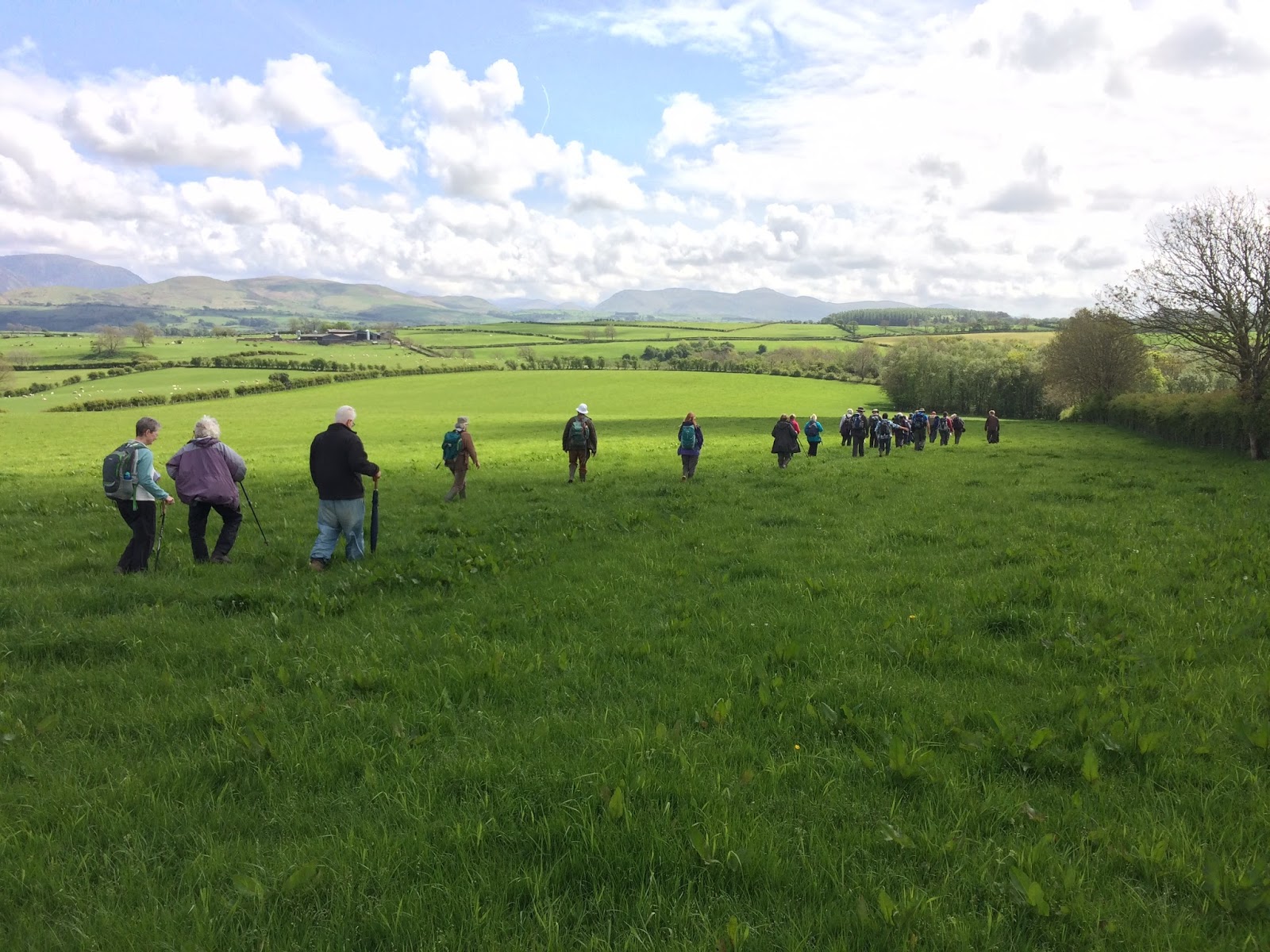 Last word on the BSBI Summer Meeting