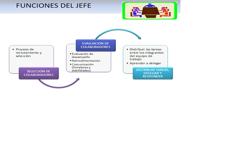 ROL DEL COORDINADOR DE TALENTO HUMANO: FUNCIONES DEL ROL DE JEFE