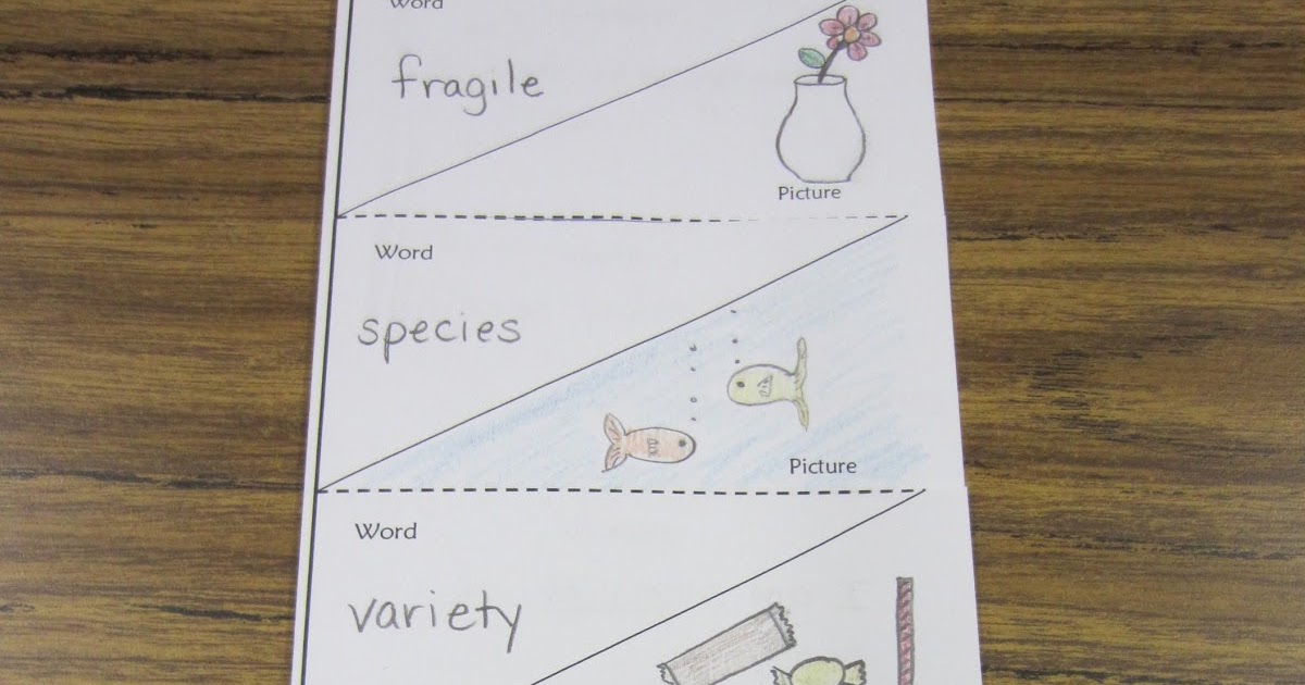 Vocabulary Foldable | Fifth in the Middle