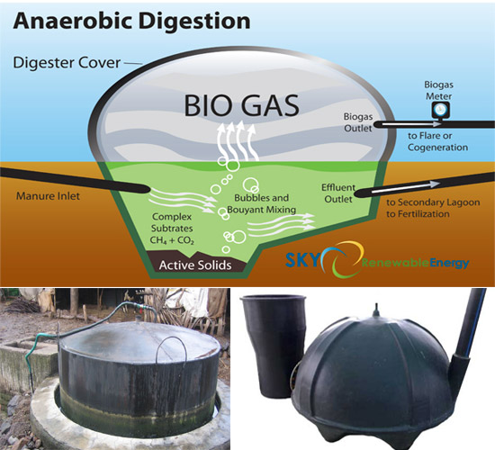 Eco-Friendly Energy Sources: A Solution To Problems Of Tomorrow