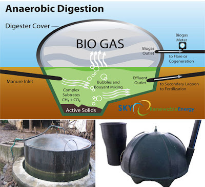 Eco-Friendly Energy Sources: A Solution To Problems Of Tomorrow