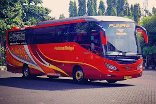 Mengenal body maxibus karoseri laksana