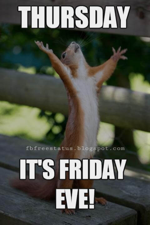 Funny Thursday Quotes to be Happy on Thursday Morning