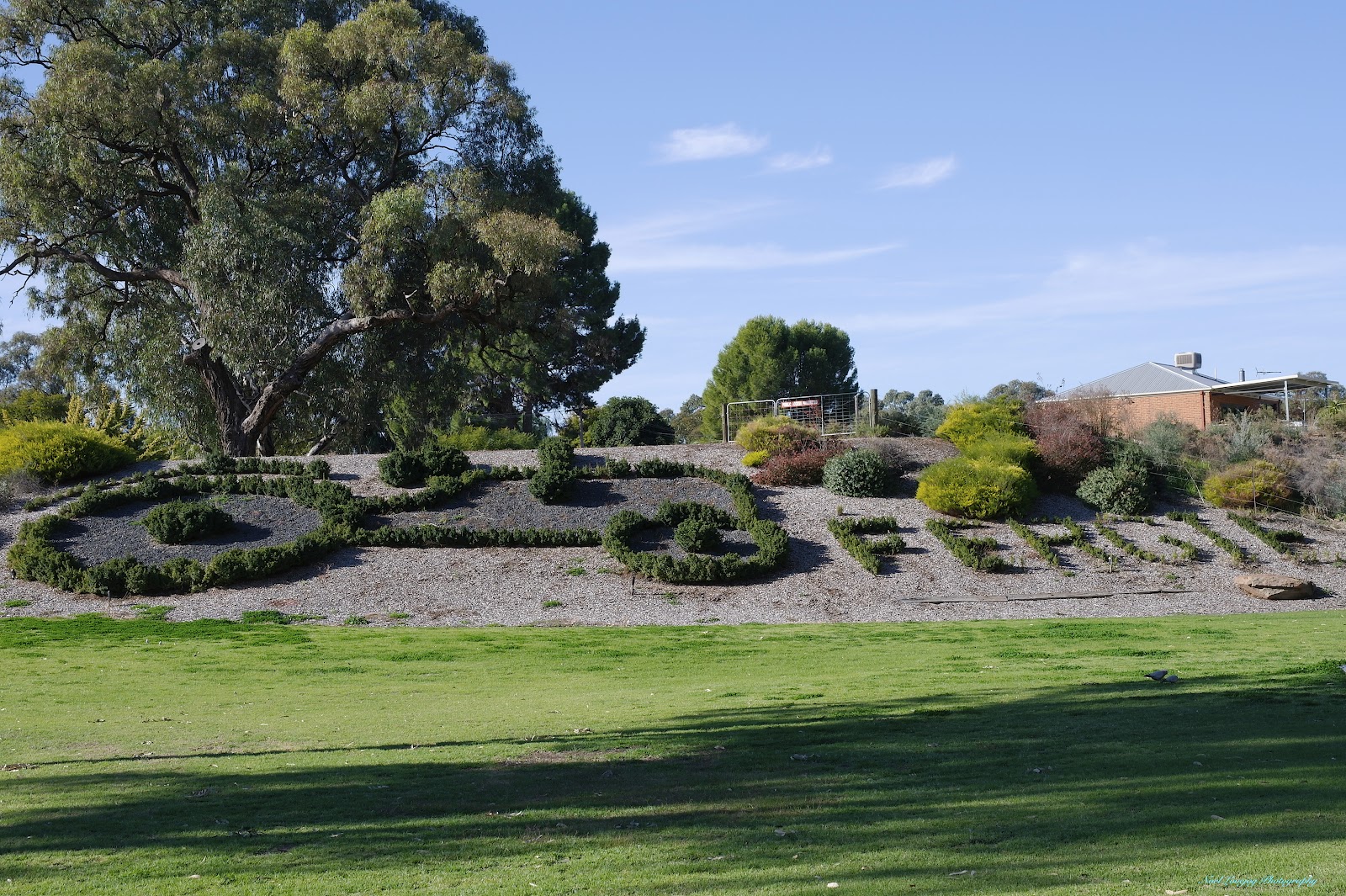 Can Go Around Australia: Murray River, Sunraysia District Part 1