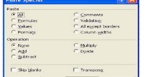 MS Excel : Edit Menu(इडिट मेनू) ~ Learn Computer