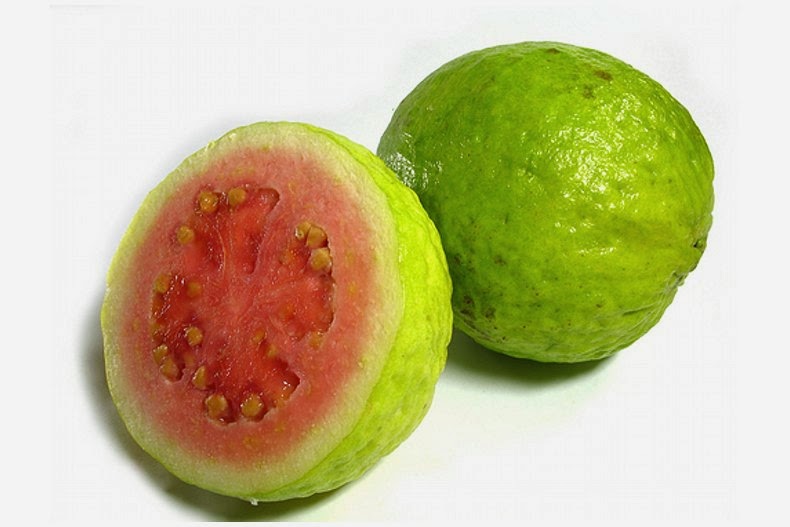 Kedahsyatan Jambu Biji