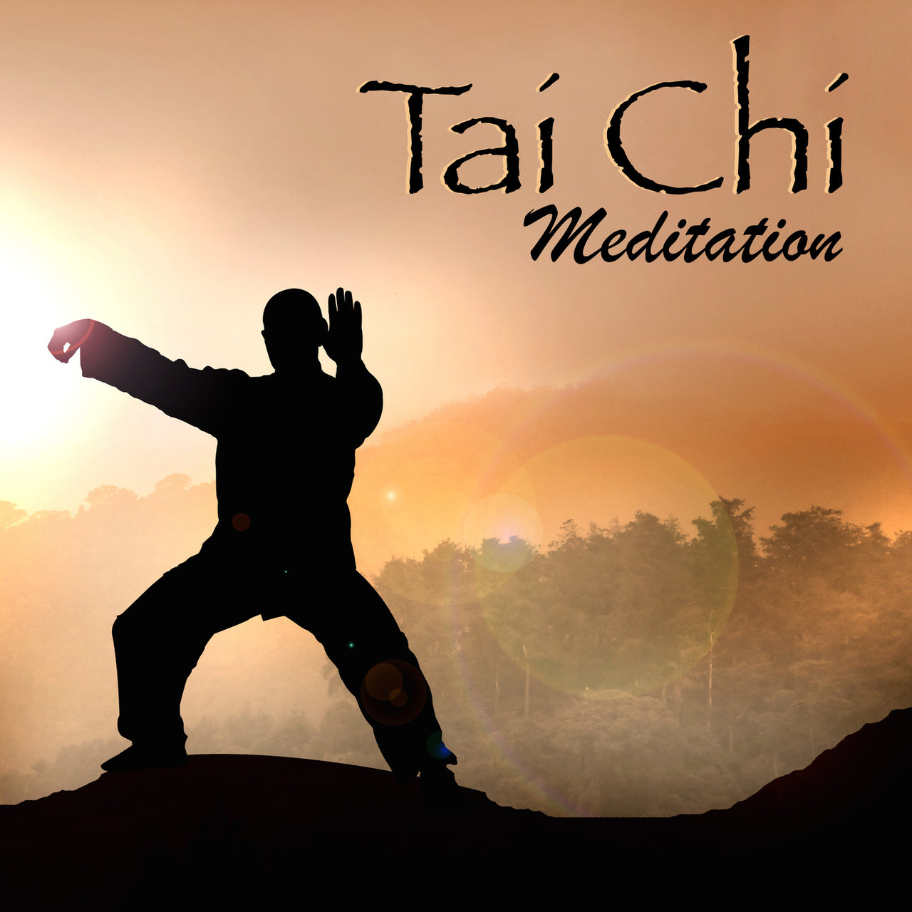 T'ai Chi Empower: April 2016