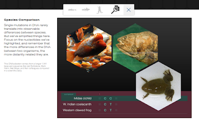Phyloinformatics: Evolution game, NOVA Labs