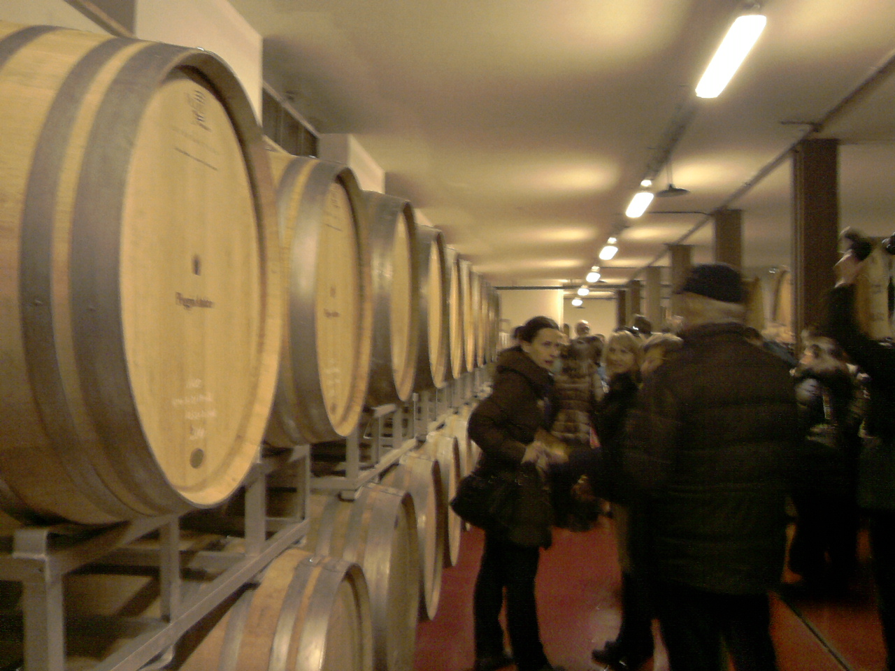 Rendez Vous: SAVELLI ARTE E TRADIZIONE