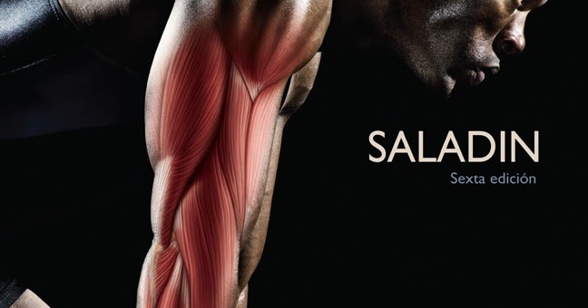 Yenifer Mirabal: Saladin Anatomia y Fisiologia