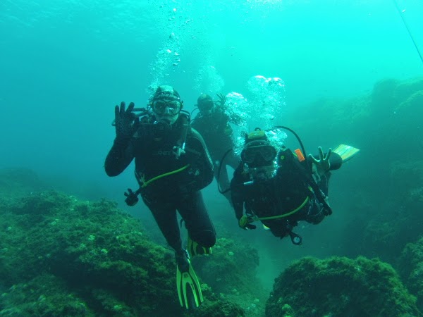 Best Spot Azores PADI 5* Dive Center: Underwater Azores Scuba Diving Buceo