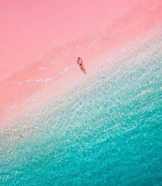 Pesona Wisata Pink Beach Komodo National Park NTT - jibriliatour
