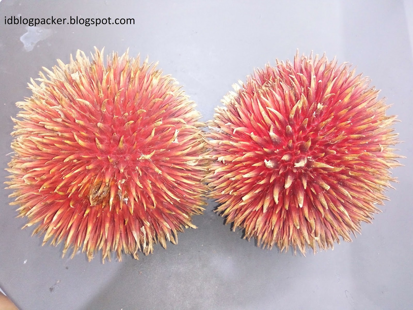 Durian Lahung Buah Nan Eksotis Yang Sangat Langka | idblogpacker ...