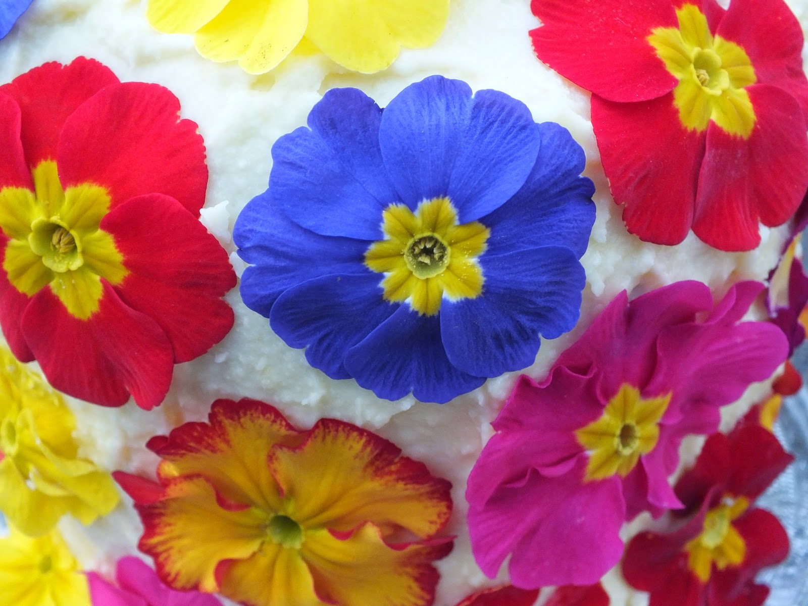 Edible flowers: Bling or Spring? Primrose Panatonne Pudding
