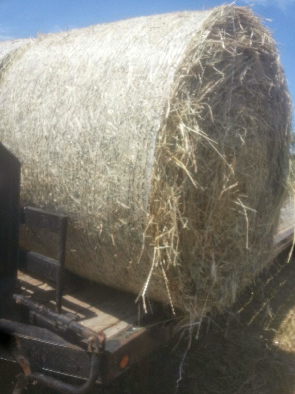 White House Farms: Bermuda Bahia Grass Hay
