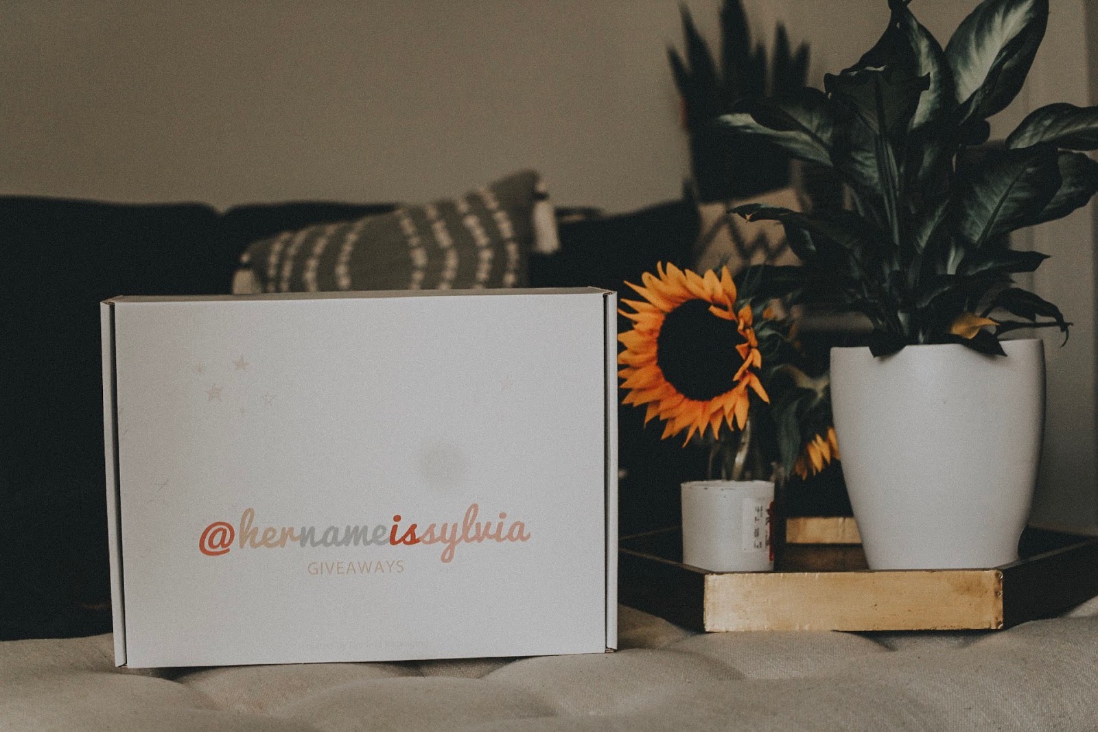 Her Name Is Sylvia: Custom giveaway boxes designed with Distinct Packaging