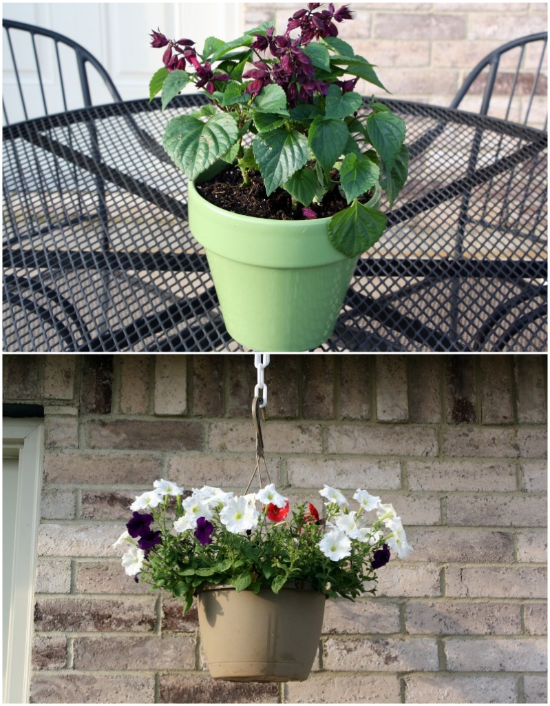 New Backyard Addition {Fire Pit on a Budget} — Mommy's Kitchen