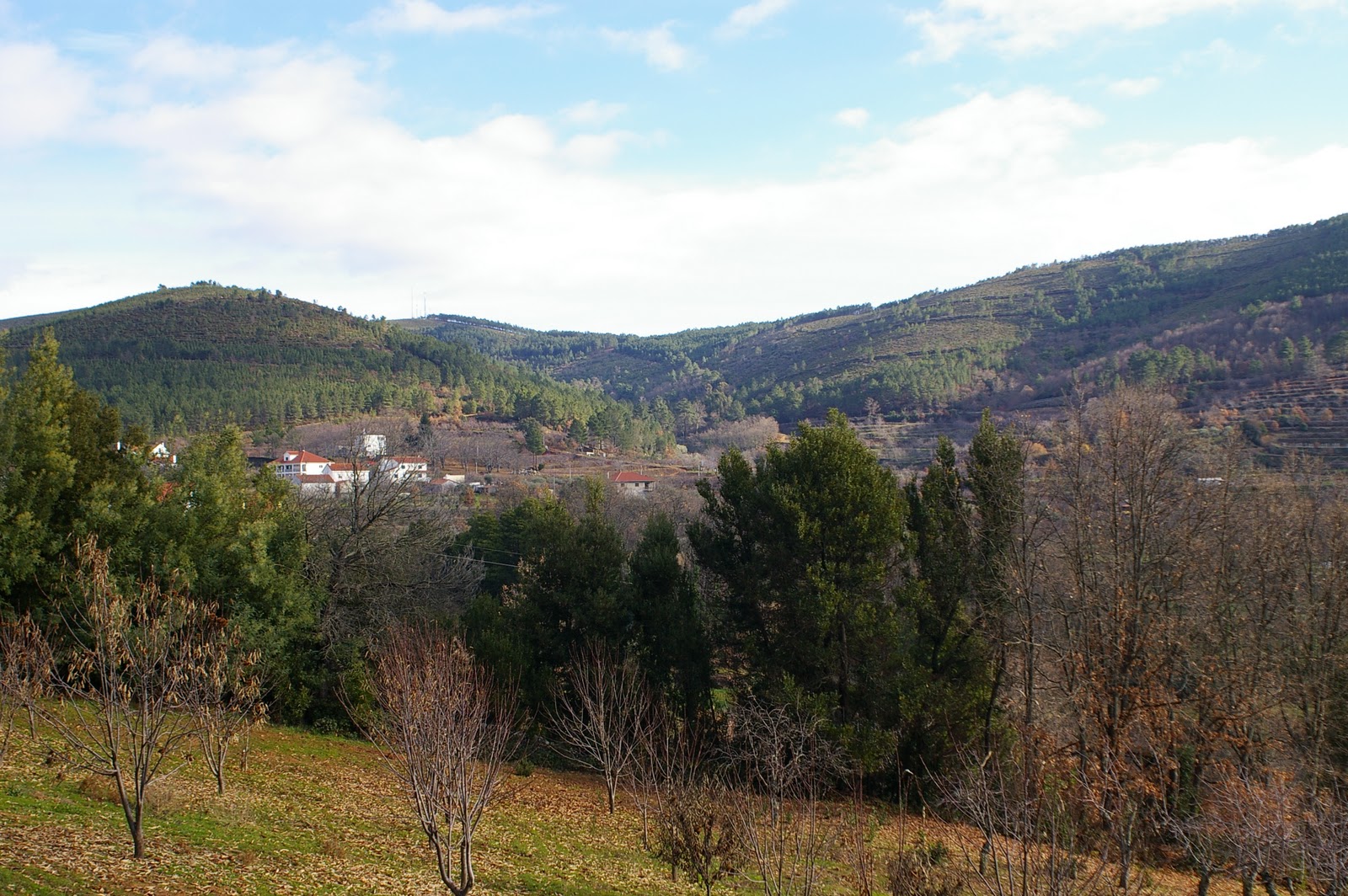 ALCAIDE - ALDEIA DA GARDUNHA: ALCAIDE - POSSÍVEIS ORIGENS
