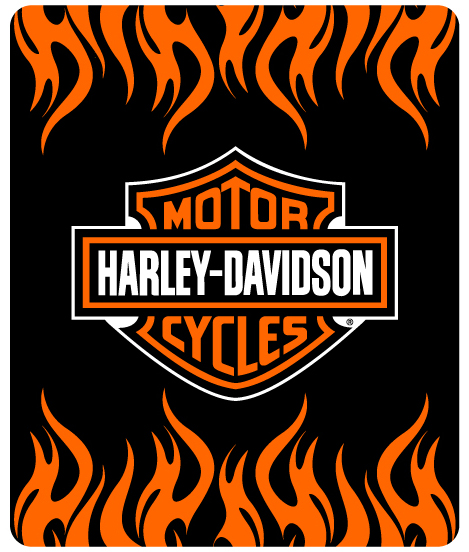Harley Davidson Logo With Flames - Bull Gallery