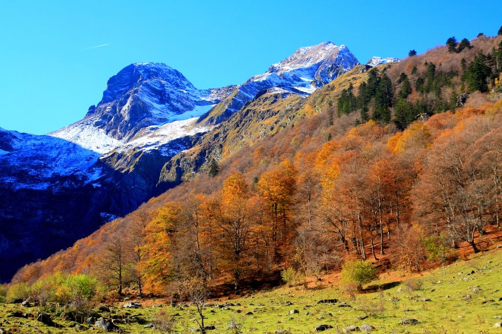 Traveloscopy Travelblog: Found: The Holy Grail - or is it?