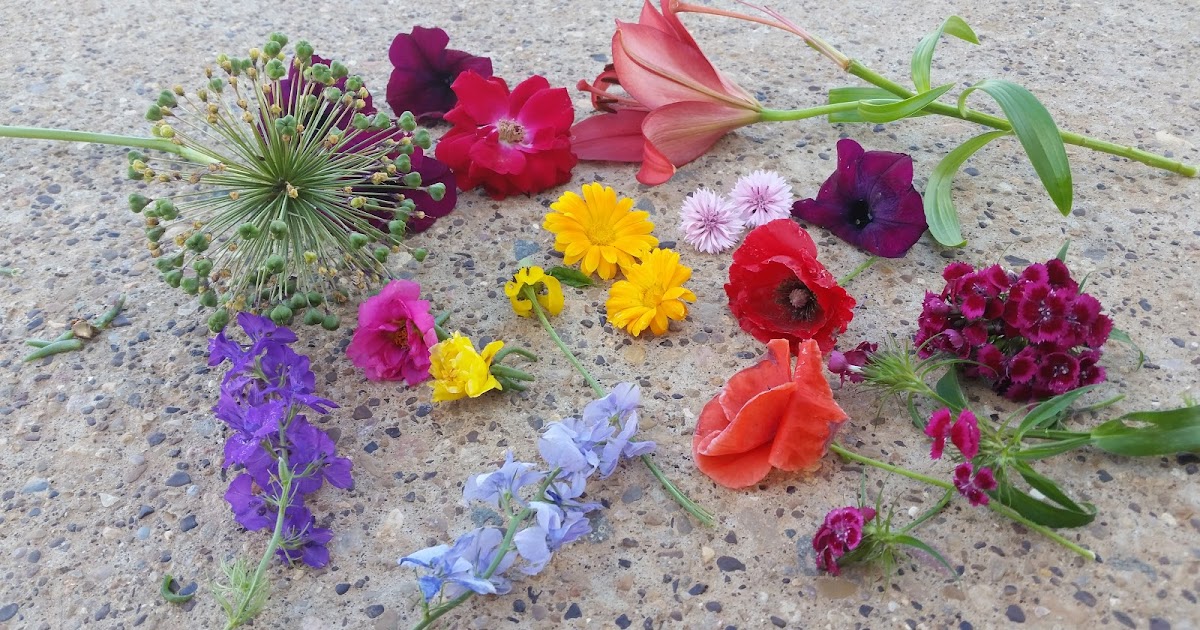 Gumbo Lily: Bright and beautiful...