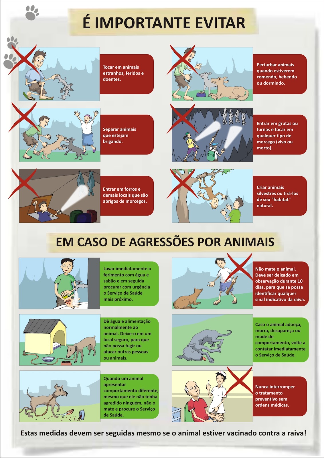 Biologia e Saúde: Campanha de controle da raiva em Porto Velho