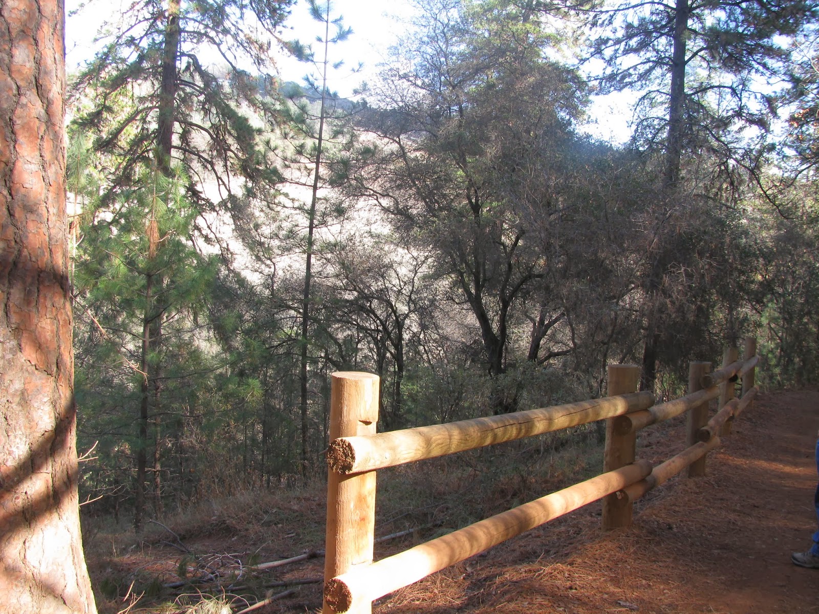 To Hike or Sit by the Pond?: Hidden Falls Regional Park, Auburn, California