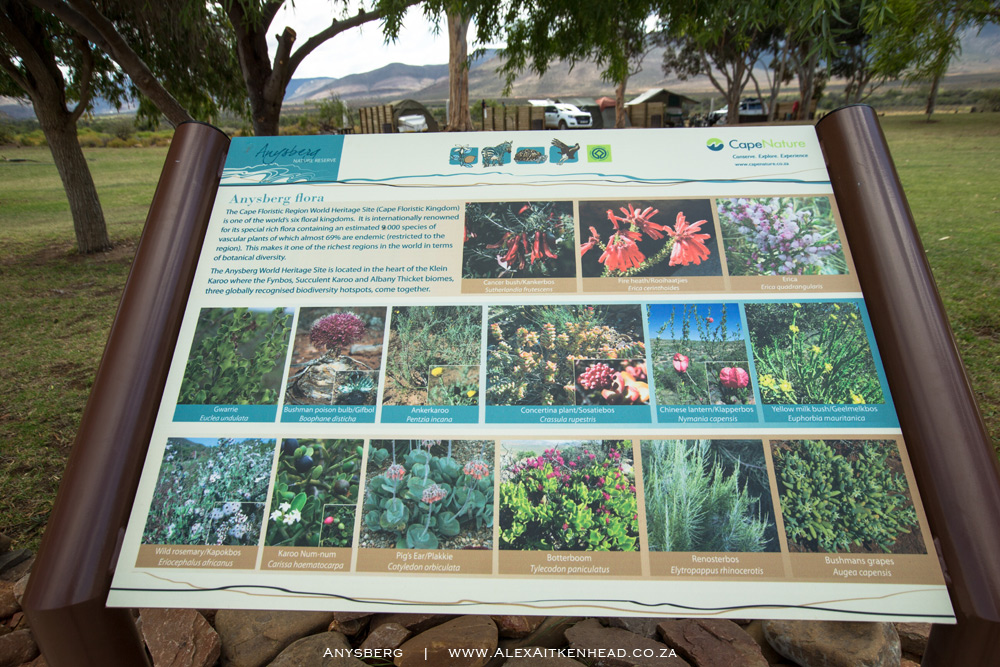 Maps of the Anysberg – Alex Aitkenhead