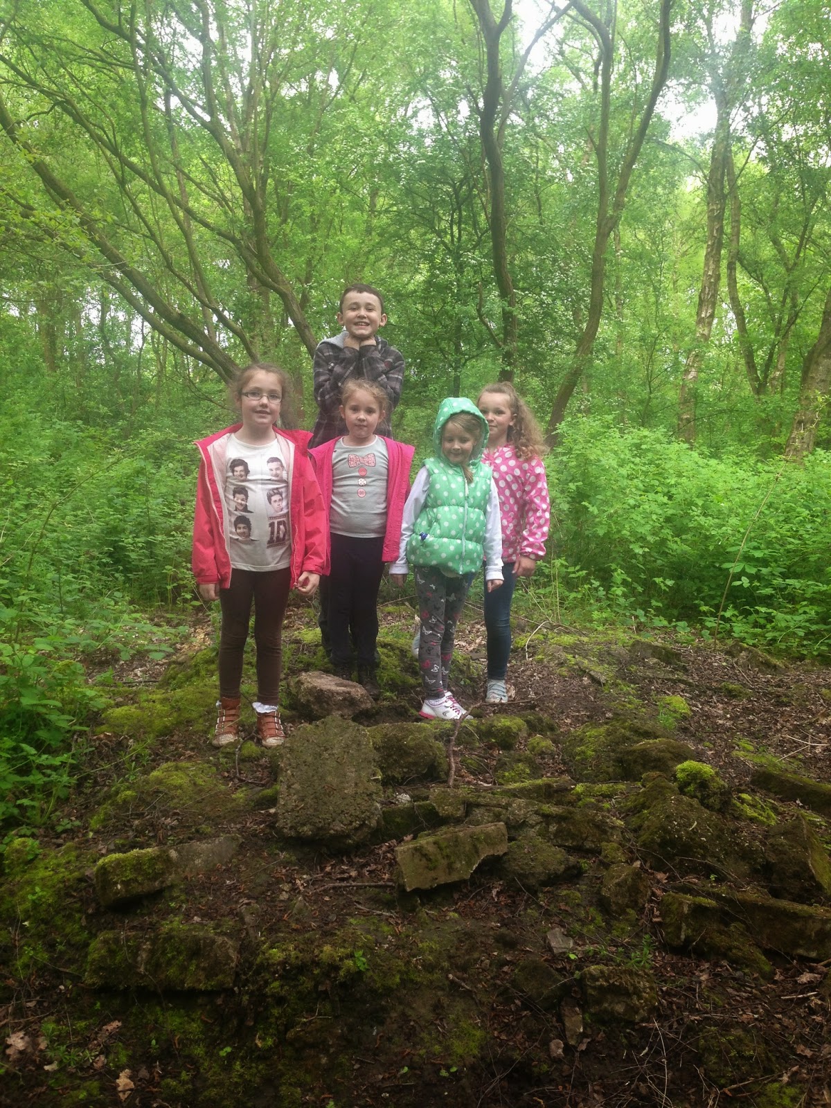 Halewood Arts Association: Junior Artists explore Halewood Park