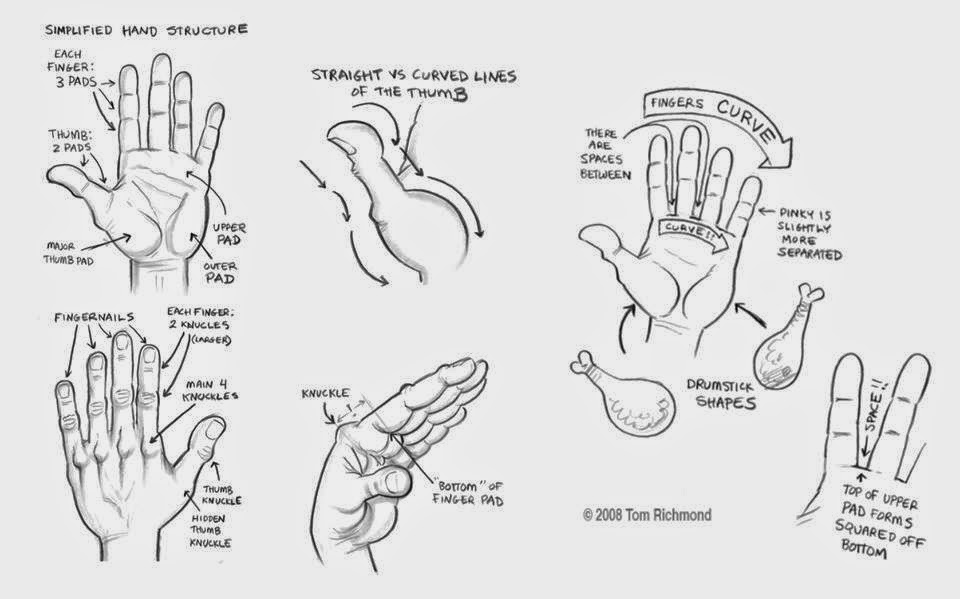 Hand Study With Full Dicriptions | Realistic Hyper Art, Pencil Art, 3D ...