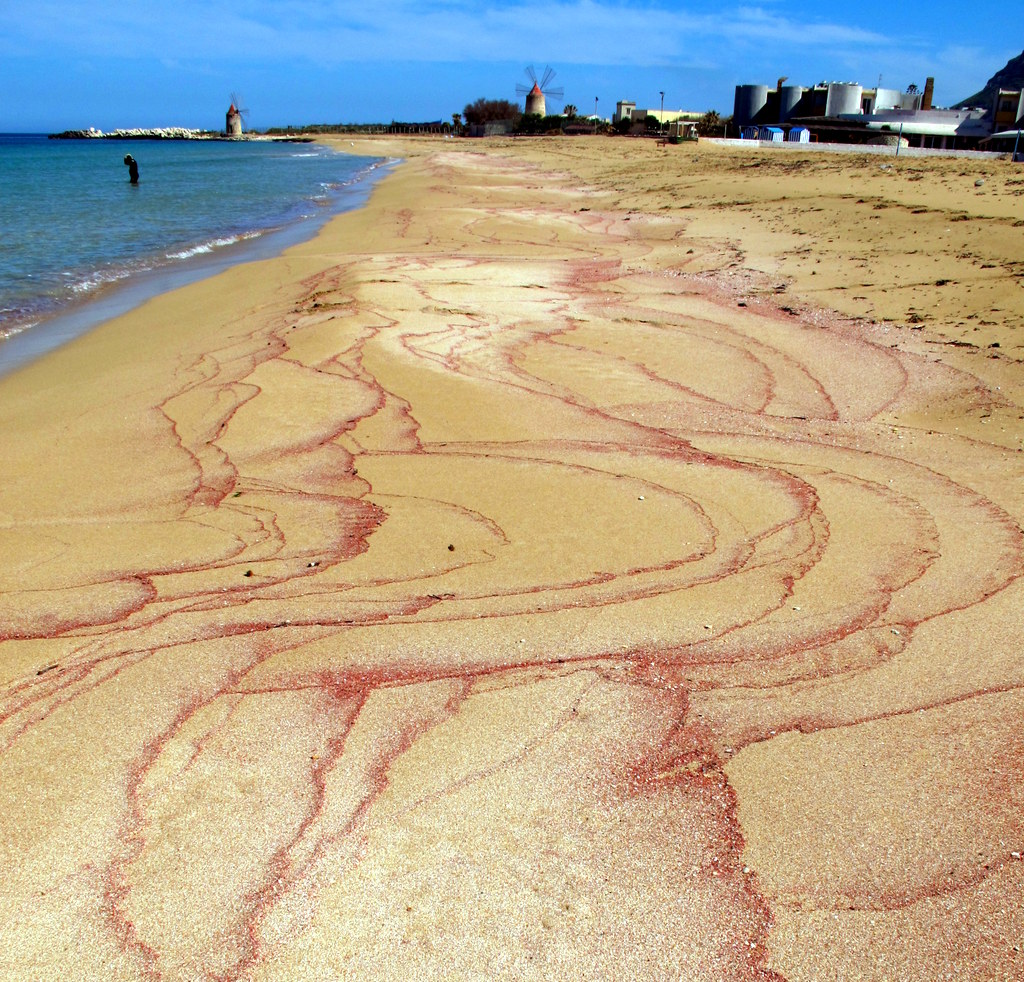 ITERDOMUS: Trapani: Falce e abbondanza