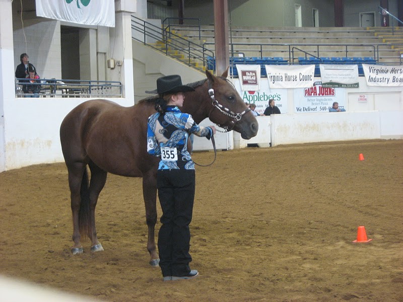 4R Ranch: Virginia State 4-H Horse Show 2011