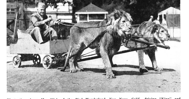 Just A Car Guy: I posted a lot of lot of different animals pulling a ...