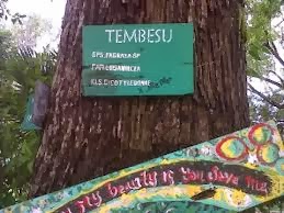 10 Tanaman Langka di Indonesia | WELCOME THE FRANSISCO ZONE