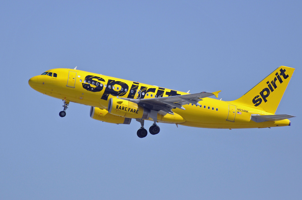 Does Spirit Airlines Allow Pets To Fly Spirit Airlines Phone Number does-spirit-airlines-allow-pets-to-fly-spirit-airlines-phone-number