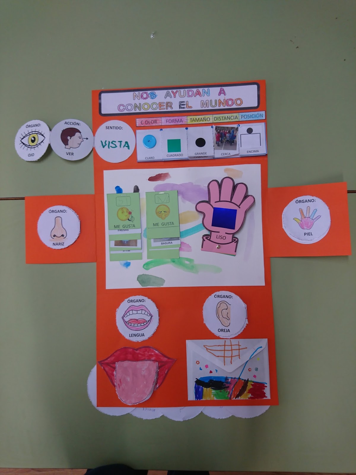 PequeEspartero: LOS SENTIDOS. NUESTRO LIBRO DESPLEGABLE.