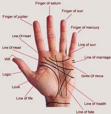 Secrets of Palmistry by Renowned Indian Palmist: Add Prosparity In Life ...