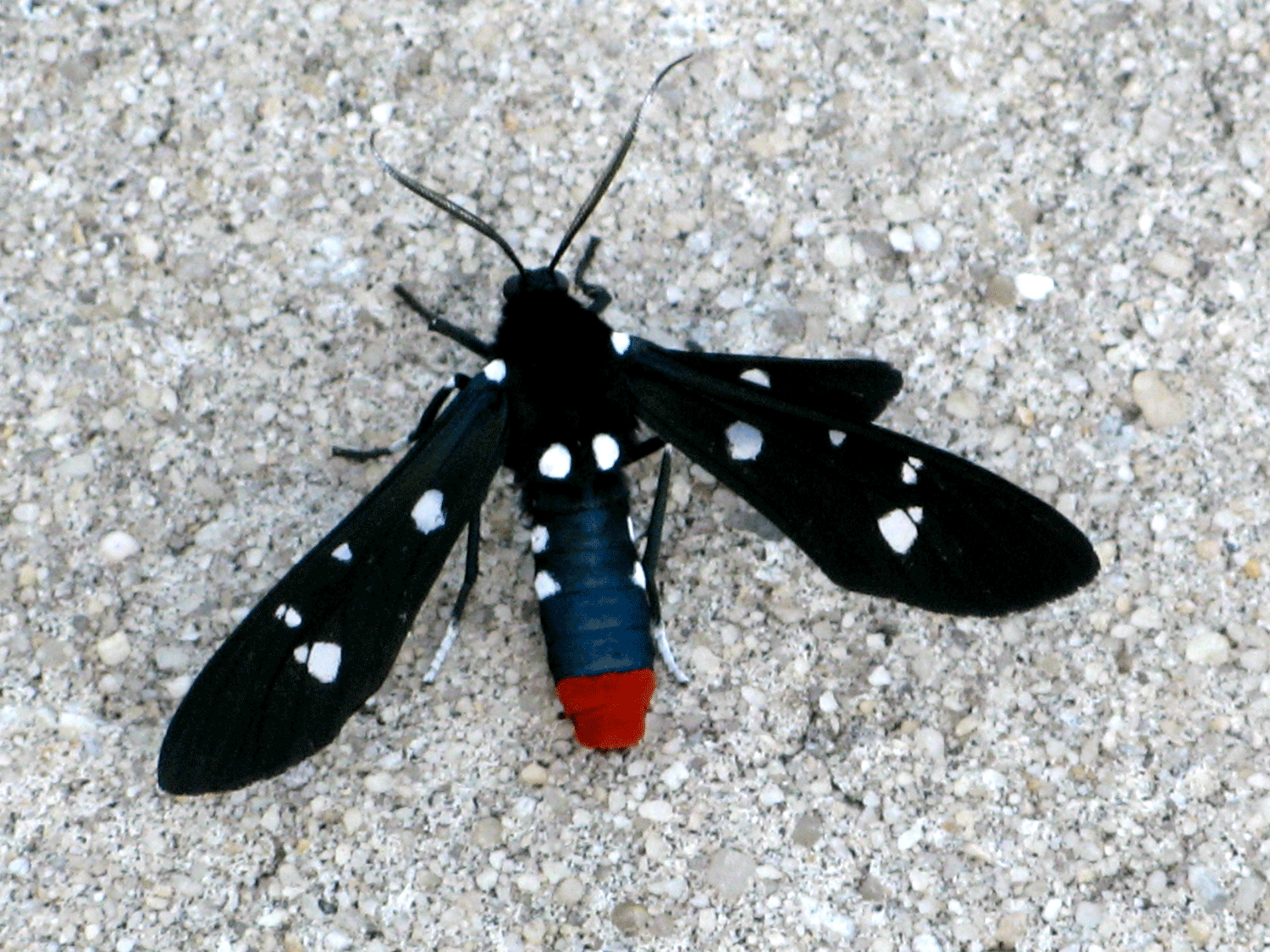 Jypsie Visions: January 2013