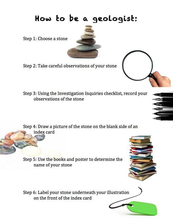 Miss Davis Teaches: Investigation Box