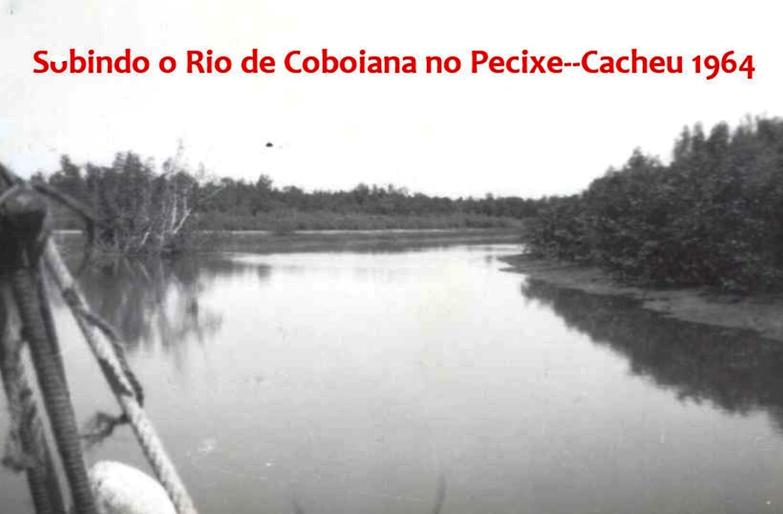 Luís Graça & Camaradas da Guiné: Guiné 63/74 - P14825: Memória dos ...