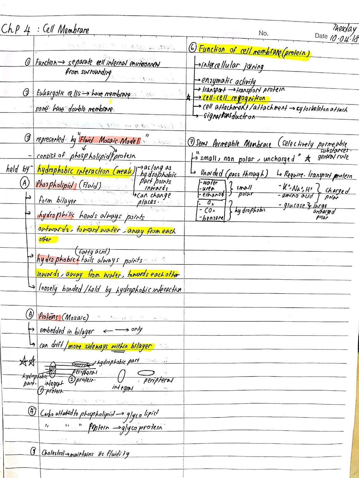 MUFY Biology Semester 1 Notes (RAW)