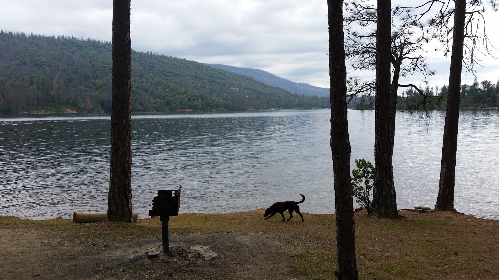 Wes' Travels to California Lakes: Bass Lake - Madera County, California