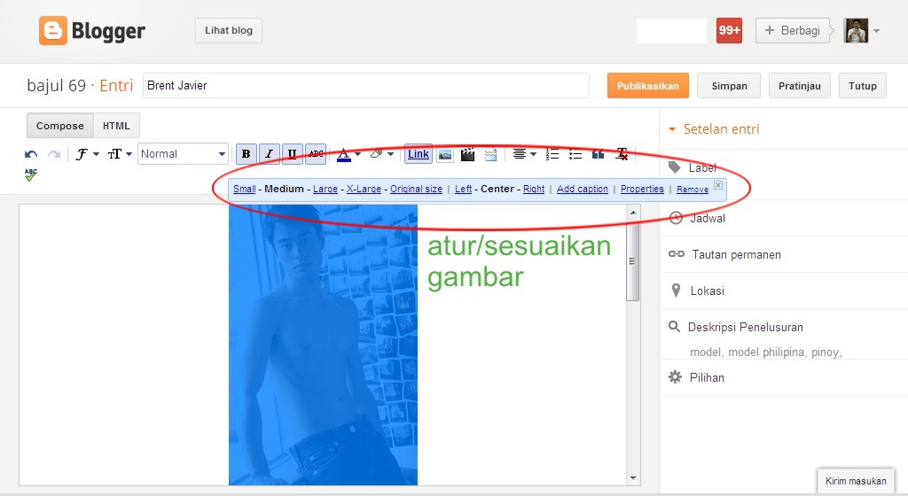 bajul 69: Insert Image